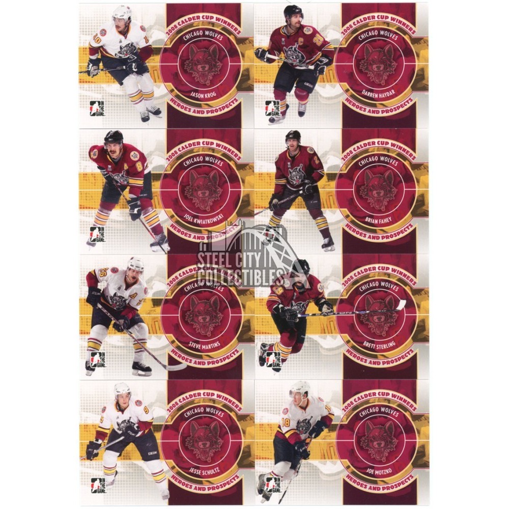 2008-09 In The Game Heroes & Prospects Hockey Calder Cup Winners 13 ...