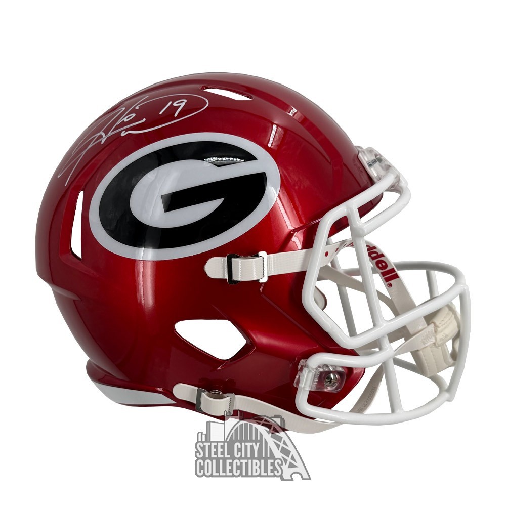 Hines Ward Autographed Georgia Flash Replica Full Size Football Helmet ...