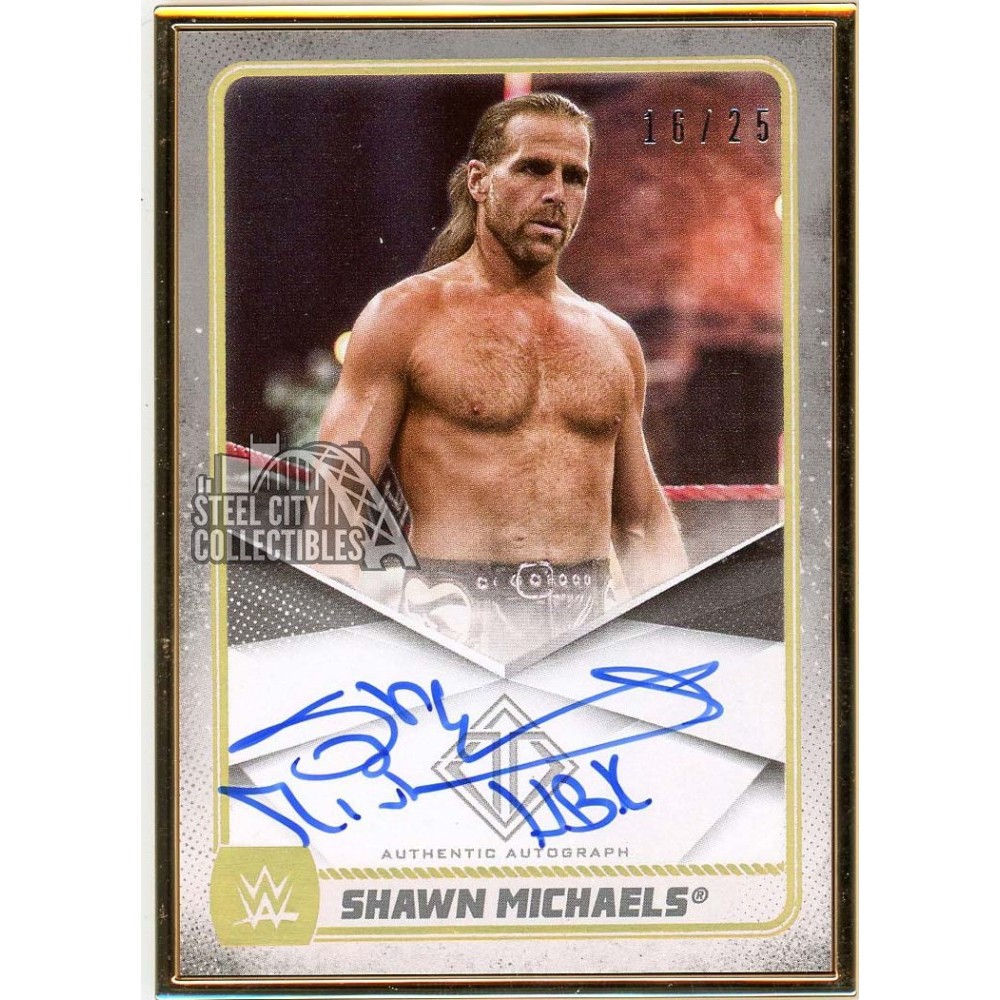 Shawn Michaels 2020 Topps Transcendent WWE Autograph Card #A-HBK 16/25 ...