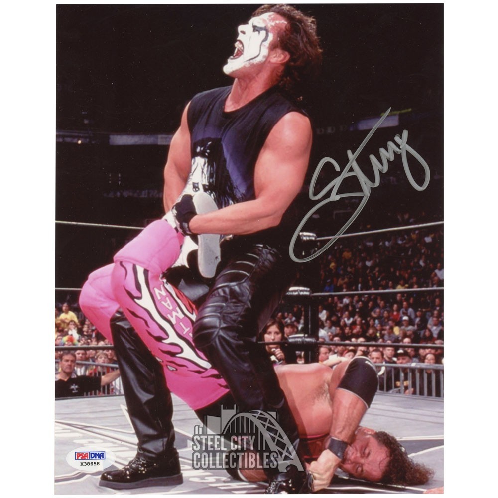 Sting Autographed 8x10 Photo - PSA/DNA COA | Steel City Collectibles