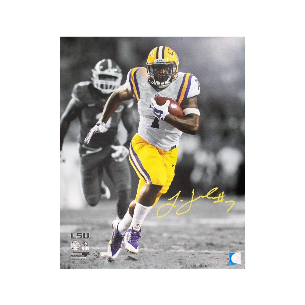 Leonard Fournette Autographed LSU Tigers 16x20 Photo - Panini COA ...