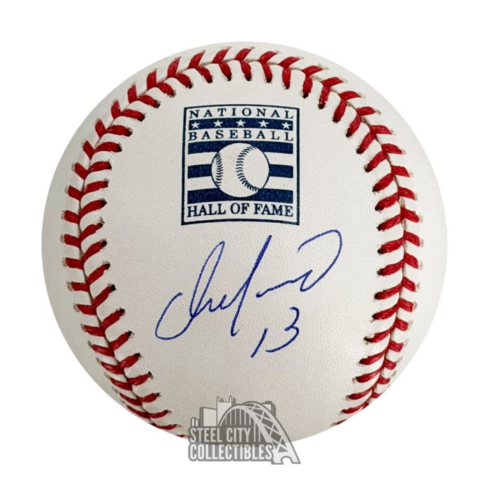 Dan Marino Autographed Official Hall Of Fame MLB Baseball - BAS | Steel ...