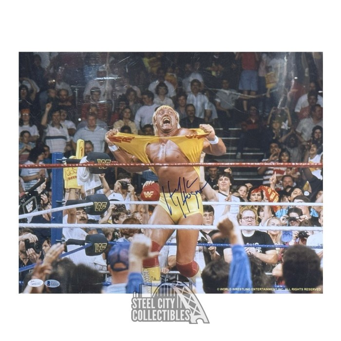 Hulk Hogan Autographed 16x20 Photo - BAS (Blue Ink) | Steel City ...