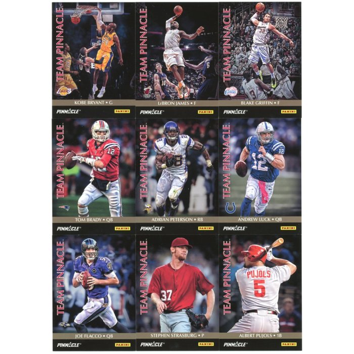 2013 Panini Father's Day Promo Team Pinnacle 15-Card Insert Set | Steel ...