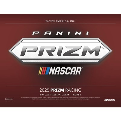 NASCAR Racing Trading Cards from Panini